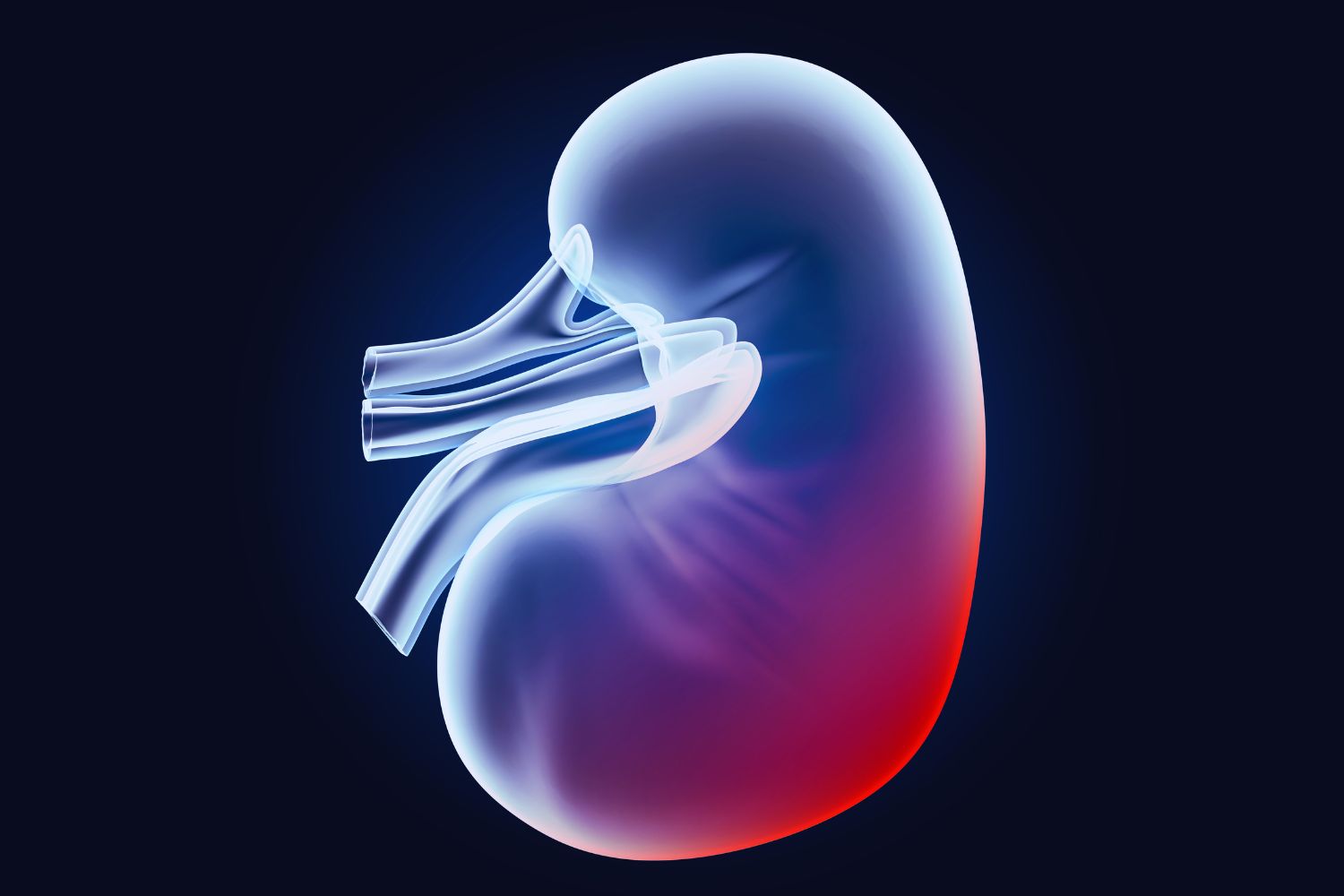 Punzadas en los riñones - Centro Urologico del Caribe